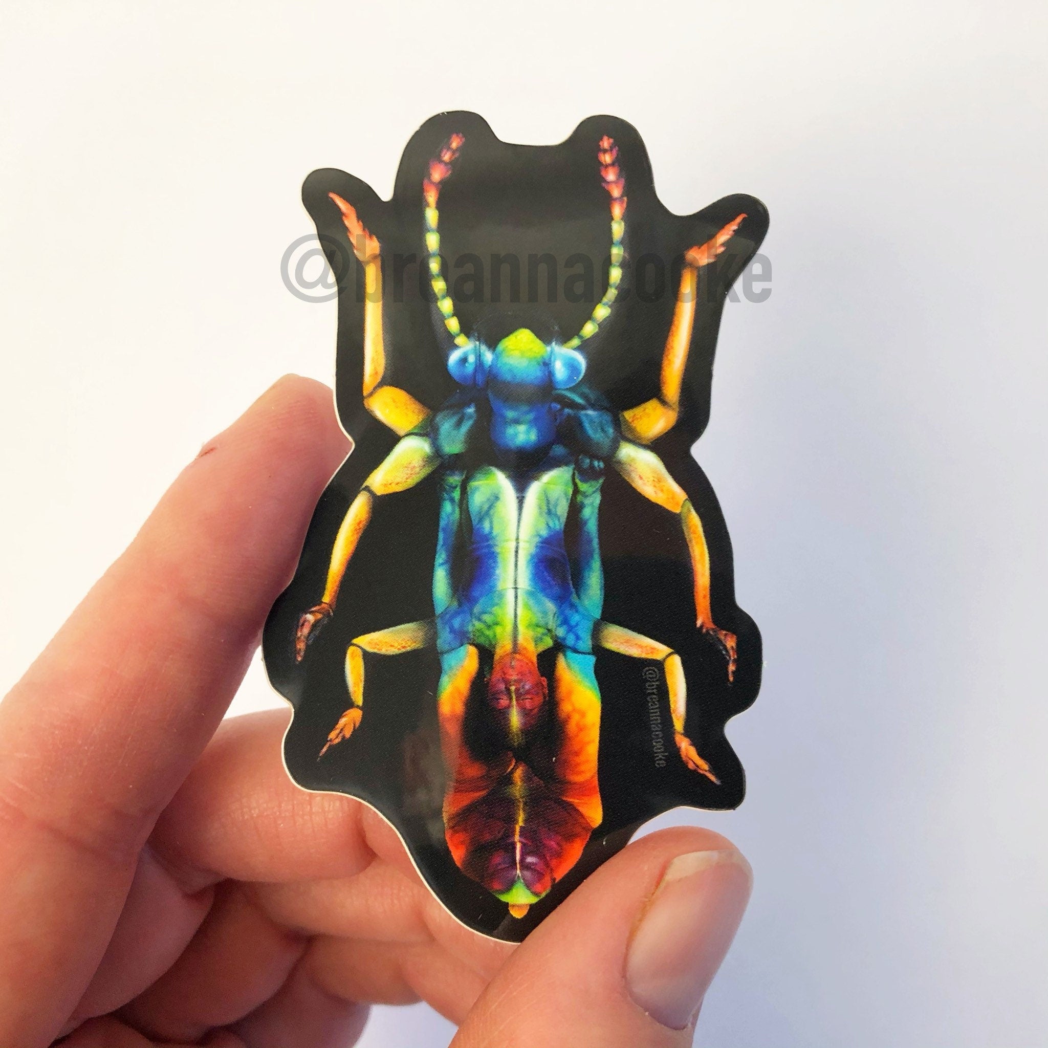 Jewel Beetle Body Paint | Sticker 2” x 3” – Breanna Cooke